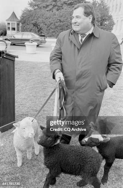 207 John Nadler Photos And High Res Pictures Getty Images