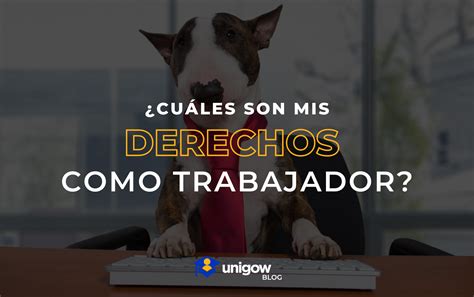 ¿cuáles Son Mis Derechos Como Trabajador Unigow