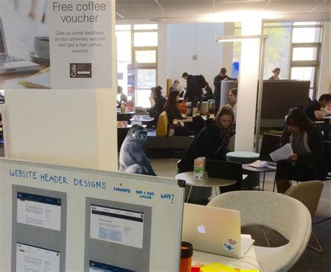 Guerrilla User Testing Feedback Web Learning And Development Team