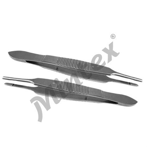 Mintex Epilation Forceps At Best Price In Jalandhar By Moonlight
