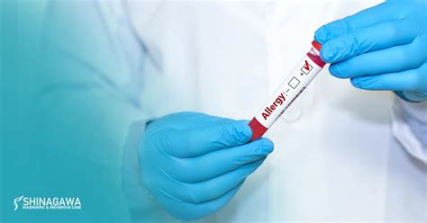 A Beginners Guide To Allergy Testing What You Need To Know