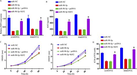 Hsa Circ 0003489 Drives Ptx Resistance Of Human Nsclc Cells Pgpm
