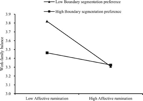 The Interaction Effect Between Affective Rumination And Boundary