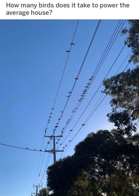 Pin By Kris ⚡️ On Humor Utility Pole Humor