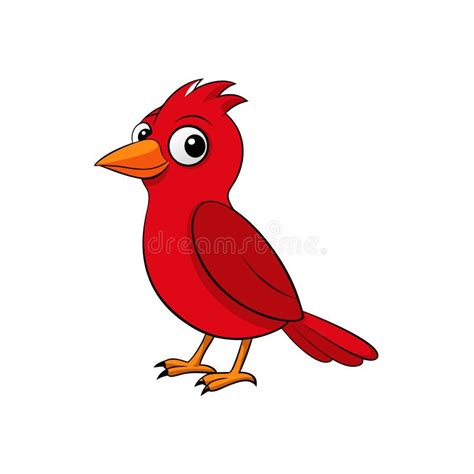 Cartoon Red Cardinal Bird Isolated On White Background Stock Illustration Illustration Of