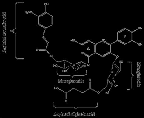 Basic Structure Anthocyanidin Download Scientific Diagram