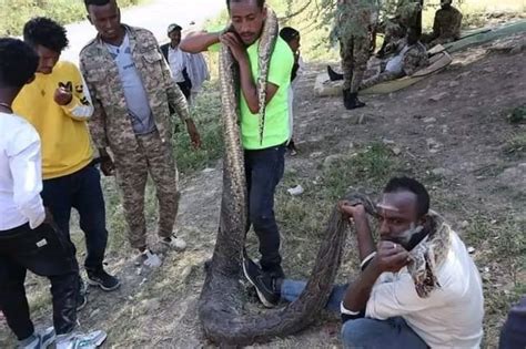 The Monks Of St Arsema Monastery Were Unable To Get Around Because Of This Obstacle Borena