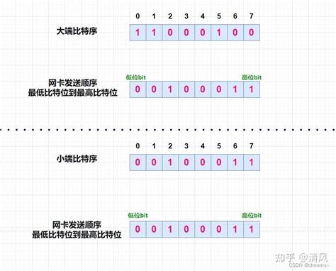 一文带你秒懂 字节序byte Order，比特序bit Order，位域bit Field 知乎