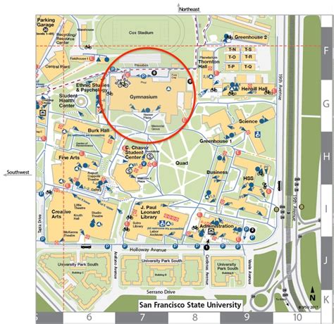 Mens Sports Programs San Francisco State University Localwiki