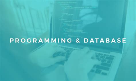 Programming And Database Diploma Level Alpha Academy