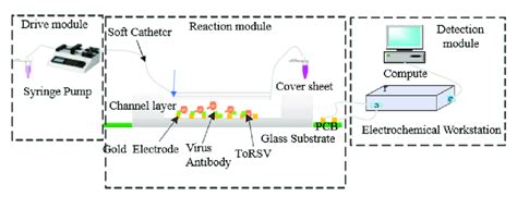 Schematic Diagram Of The Microfluidic Impedance Detection System