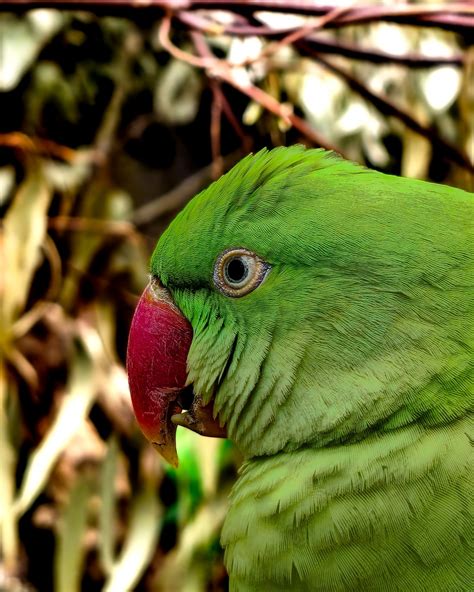 Jason Sd Whelan Whelan Naturephotography • Instagram Photos And Videos