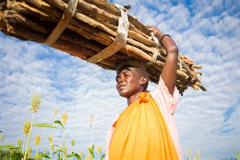 Rapports Annuels Acted