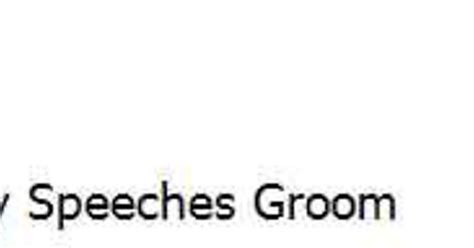 Sample Engagement Party Speeches Groom Imgur