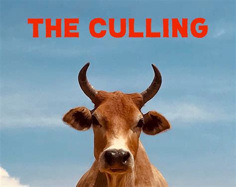 THE CULLING A Hunt For Bump In The Dark By Bloodygorgeous