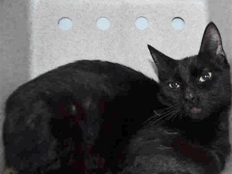 Scared Mom And Daughter Need A Loving Home