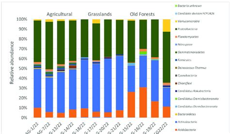 Relative Abundance Of Archaea And The Most Common Bacteria Phyla Soil