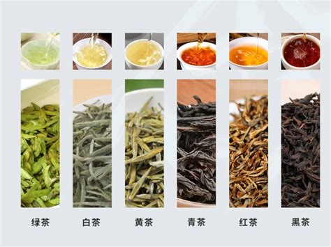 Chinese Tea Culture Origins Types And Traditions 2026