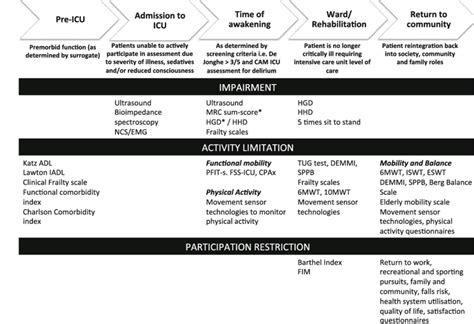 Suggested Schematic Guide To Mapping Of Outcome Measures Within The Icf Download Scientific