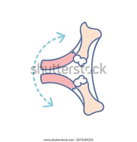 Unique Styloid Process Radius Anatomy Vector Stock Vector Royalty Free 2572185251 Shutterstock