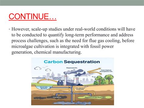 Microalgae Environmental Application Pptx