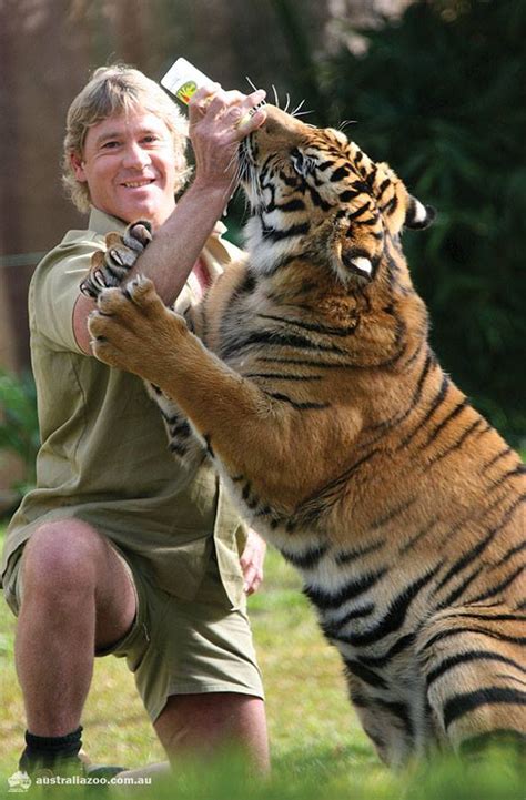 A Life Well Lived The Extraordinary World Of Steve Irwin Hooked On Everything