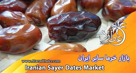 خرید خرما سایر خوزستان به صورت عمده خرما عطارد