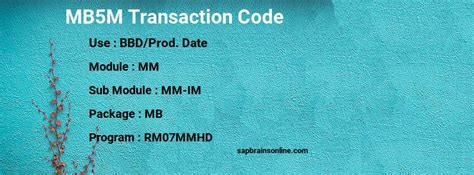 Mb5m Sap Tcode For Bbdprod Date