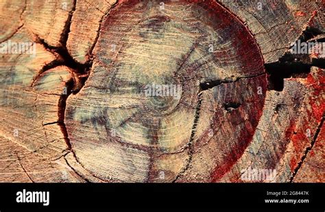 Lumber Patterns Stock Videos And Footage Hd And 4k Video Clips Alamy