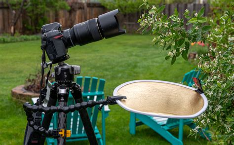 The Plamp – Tom Bol Photography, LLC