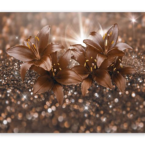 🔥 [50 ] Csn Wallpapers Wallpapersafari