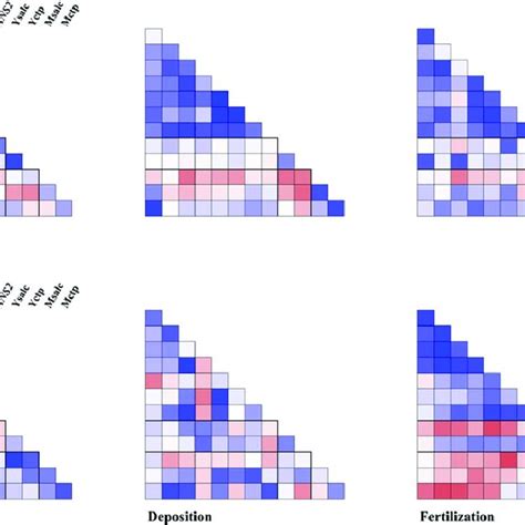Correlograms Of Relationships Between Expression Of Ppp Genes Gene Download Scientific