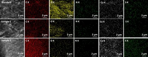 Edx Elemental Map Of Standard Sample 1 01 Pp And Sample 2 03