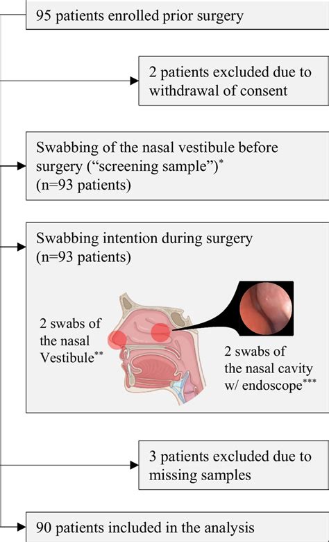 Flowchart And Sampling Procedures Of The Study For Screening Sample