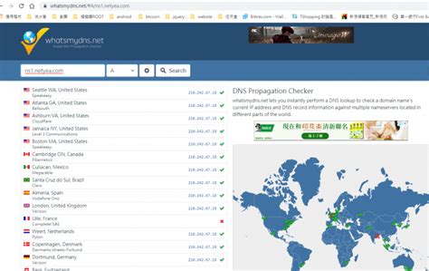 dns 檢查器 網路 程式技術 tshopping