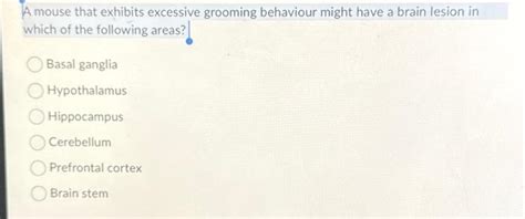 Solved A Mouse That Exhibits Excessive Grooming Behaviour