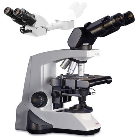 Labomed Lx500 Binocular Led Dual View Teaching Microscope New York