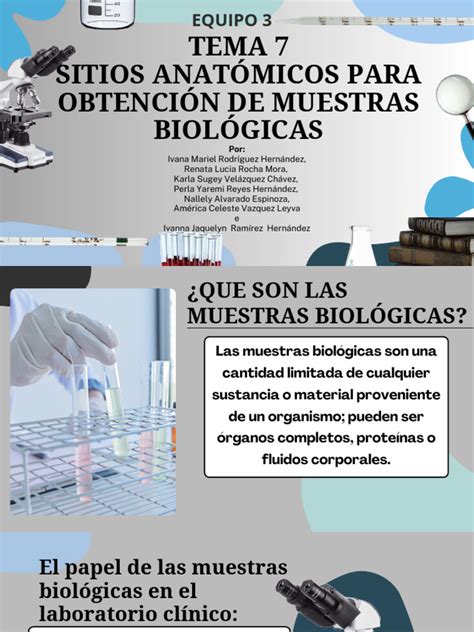 3 Celulas Mononucleares Pdf Biopsia Semen