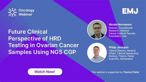 Future Clinical Perspective Of Hrd Testing In Ovarian Cancer Samples Using Emj