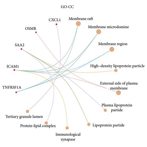 Functional Enrichment Pathway Of The Hub Eight Degs A C Go
