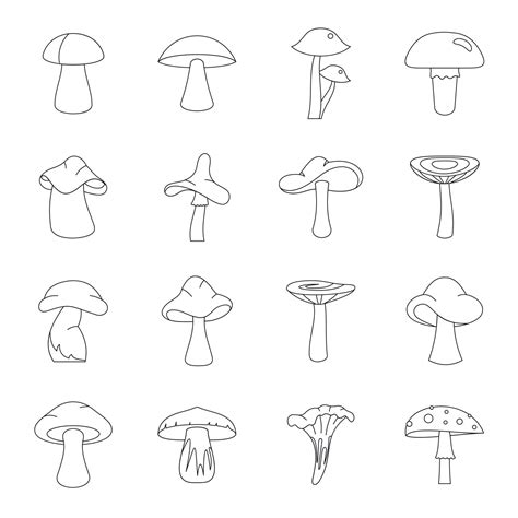 Mushroom Icons Set Outline Style 8909750 Vector Art At Vecteezy