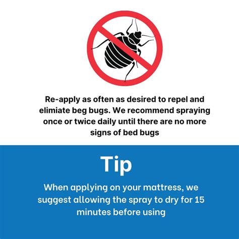 [csr Free For Old Folks Home] Ielder Beg Bug And Dust Mite Control Spray — Ielder Asia