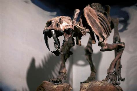Evolution News Articles And Features New Scientist