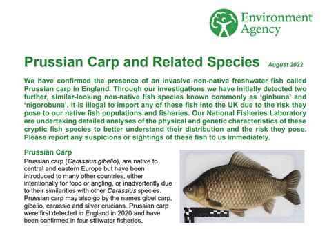 Environment Agency Warns Of Threat Of Prussian Carp And Other Non