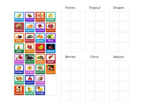 Fruit Classifications Group Sort