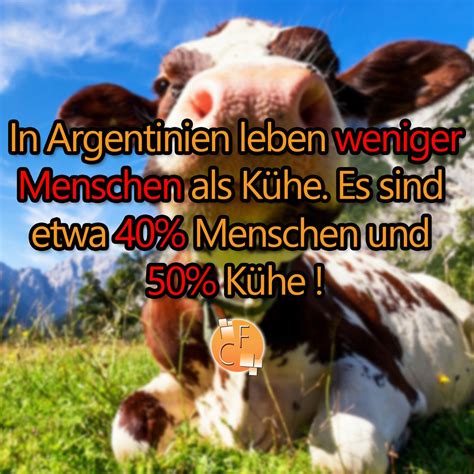 Classy Frames Classyframes Twitter