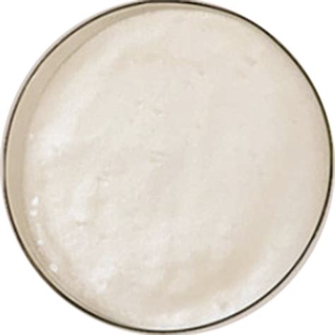 China Cheap Potassium Iodide Manufacturers Suppliers Factory Direct Wholesale Mei Wang