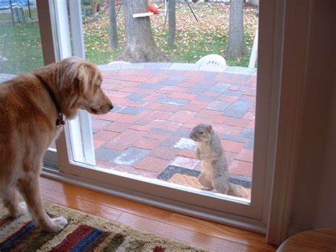 It Seems We Are At An Impasse Rfunny