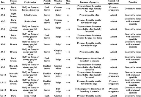 Morphology And Culture Characteristics Of Various Ascochyta Rabiei