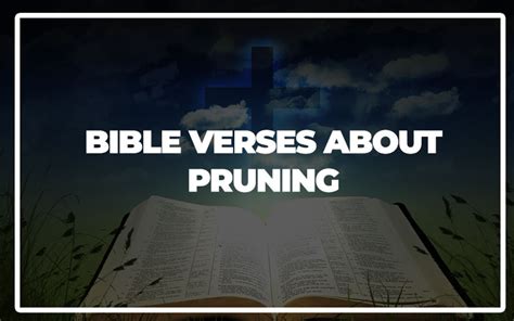 35 Bible Verses About Pruning Bible Repository
